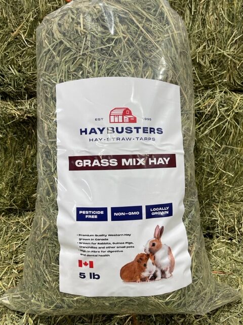 Grass Mix - Haybusters