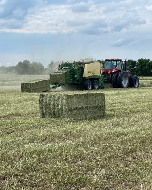 Large Square Hay - Haybusters Hay & Straw